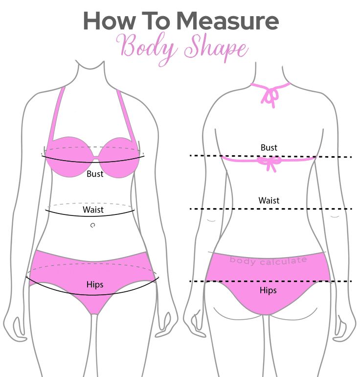 Bust Waist And Hip Calculator Bust Waist And Hip Calculator