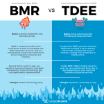 Total Daily Energy Expenditure, TDEE – Body Calculate